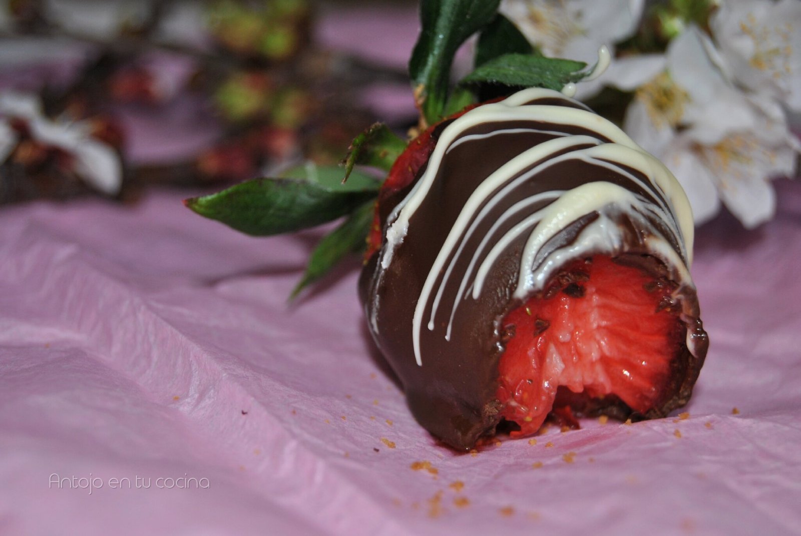 Fresas con chocolate perfectas - Antojo en tu cocina