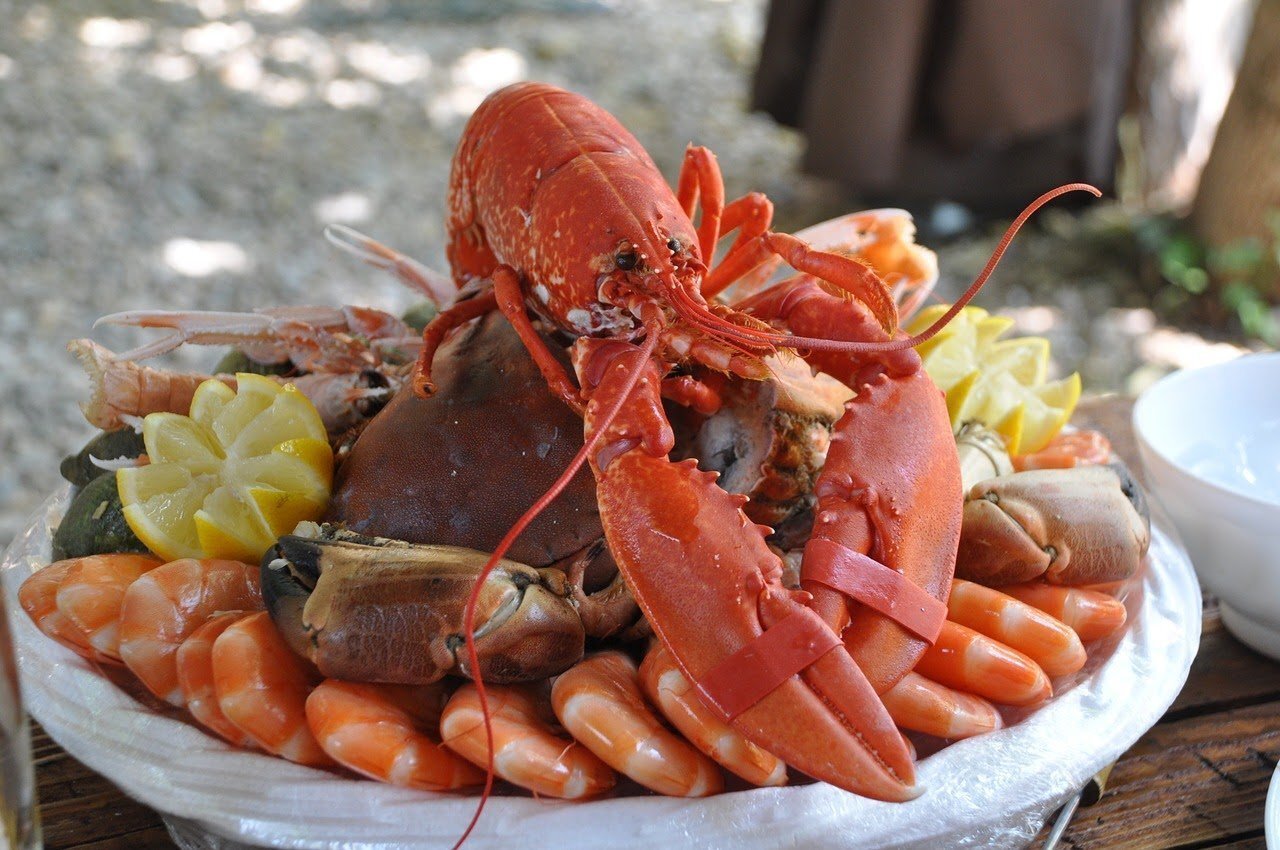 Mariscadas a domicilio, una excelente decisión - Antojo en tu cocina
